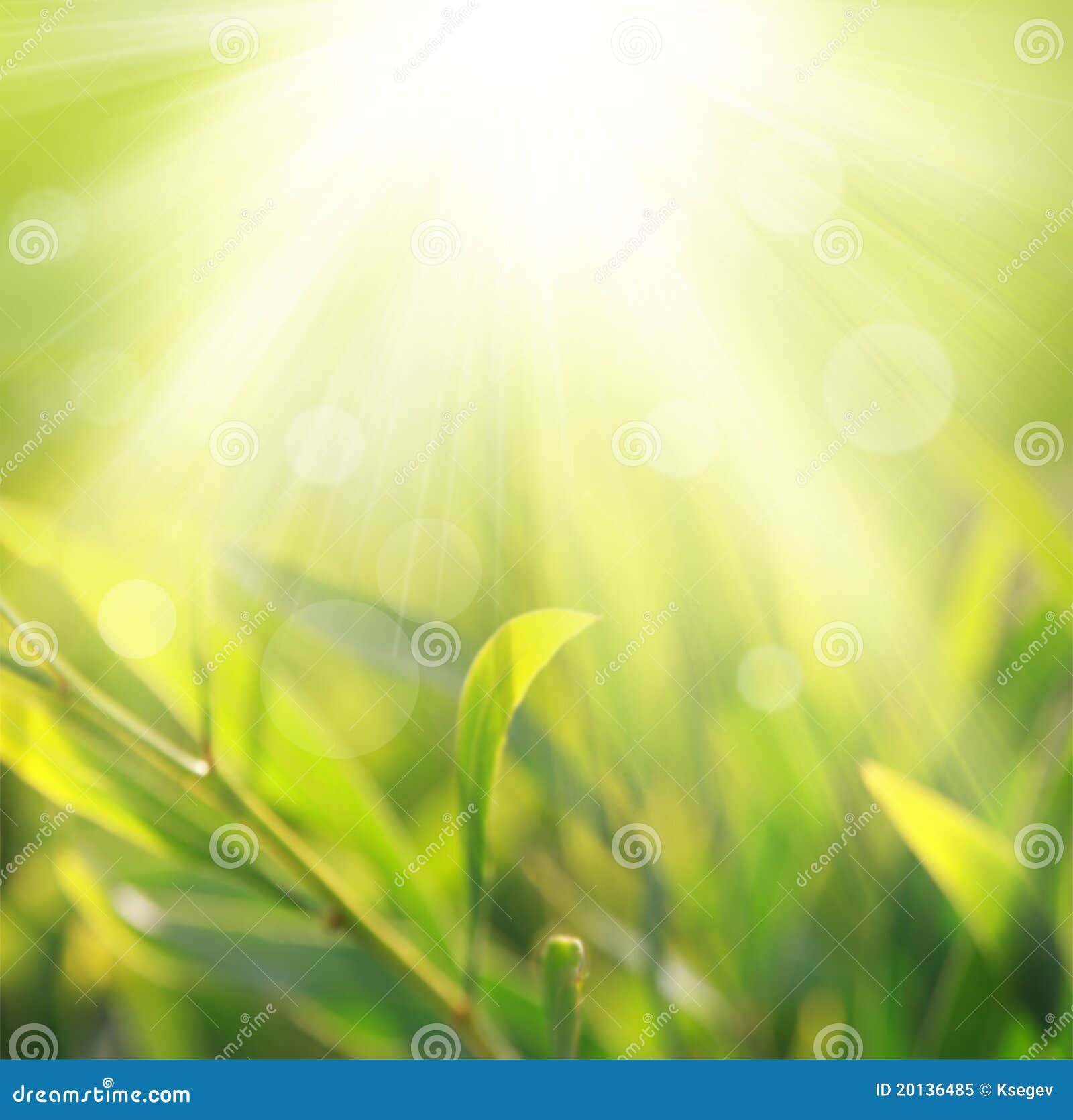 Spring light background stock image. Image of desktop - 20136485