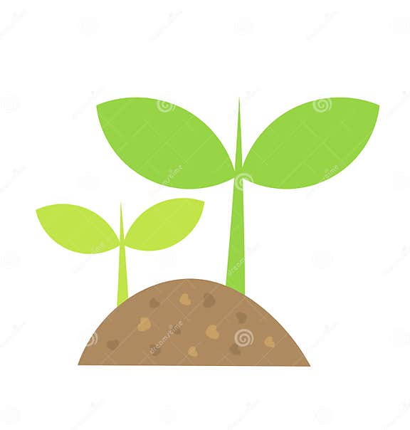 Spring little plants stock vector. Illustration of green - 78208794