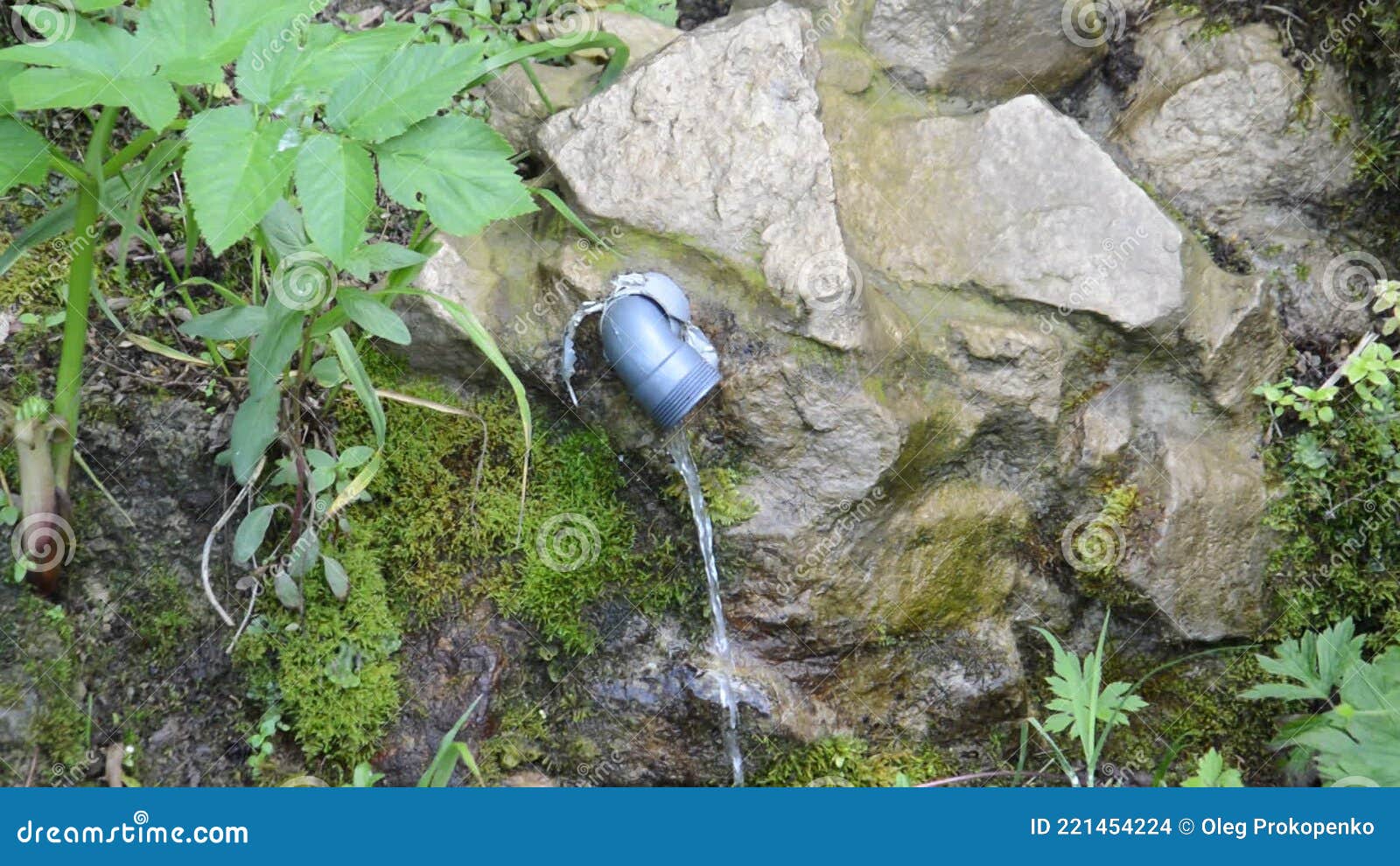 Spring Living Mountain Water Source Stock Footage - Video of source ...