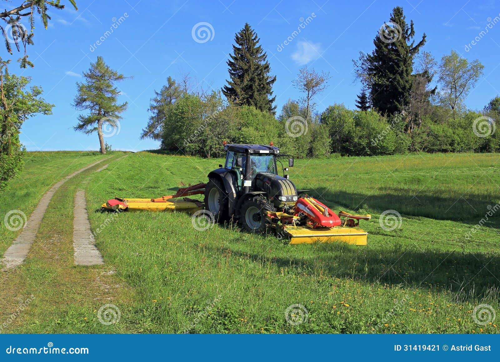 In the spring stock image. Image of farmer, country, point - 31419421