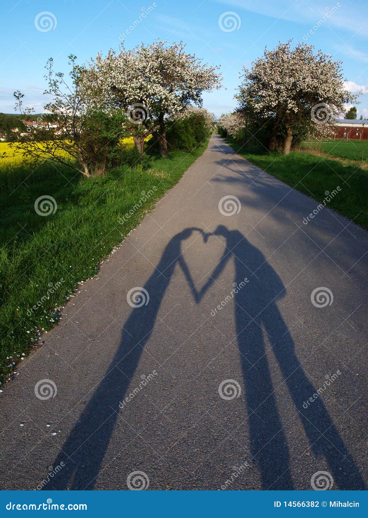 Spring love stock photo. Image of endearment, couple - 14566382