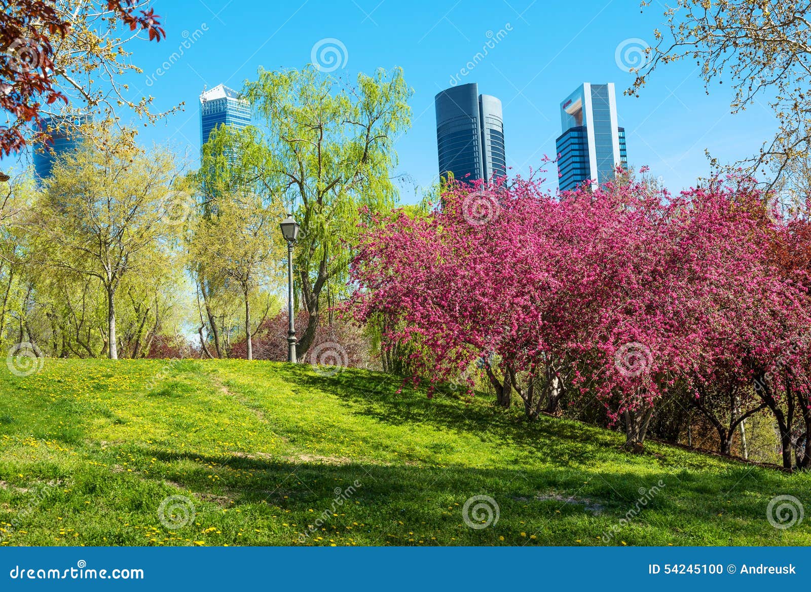 Spring in Madrid, Spain stock photo. Image of flowers - 54245100