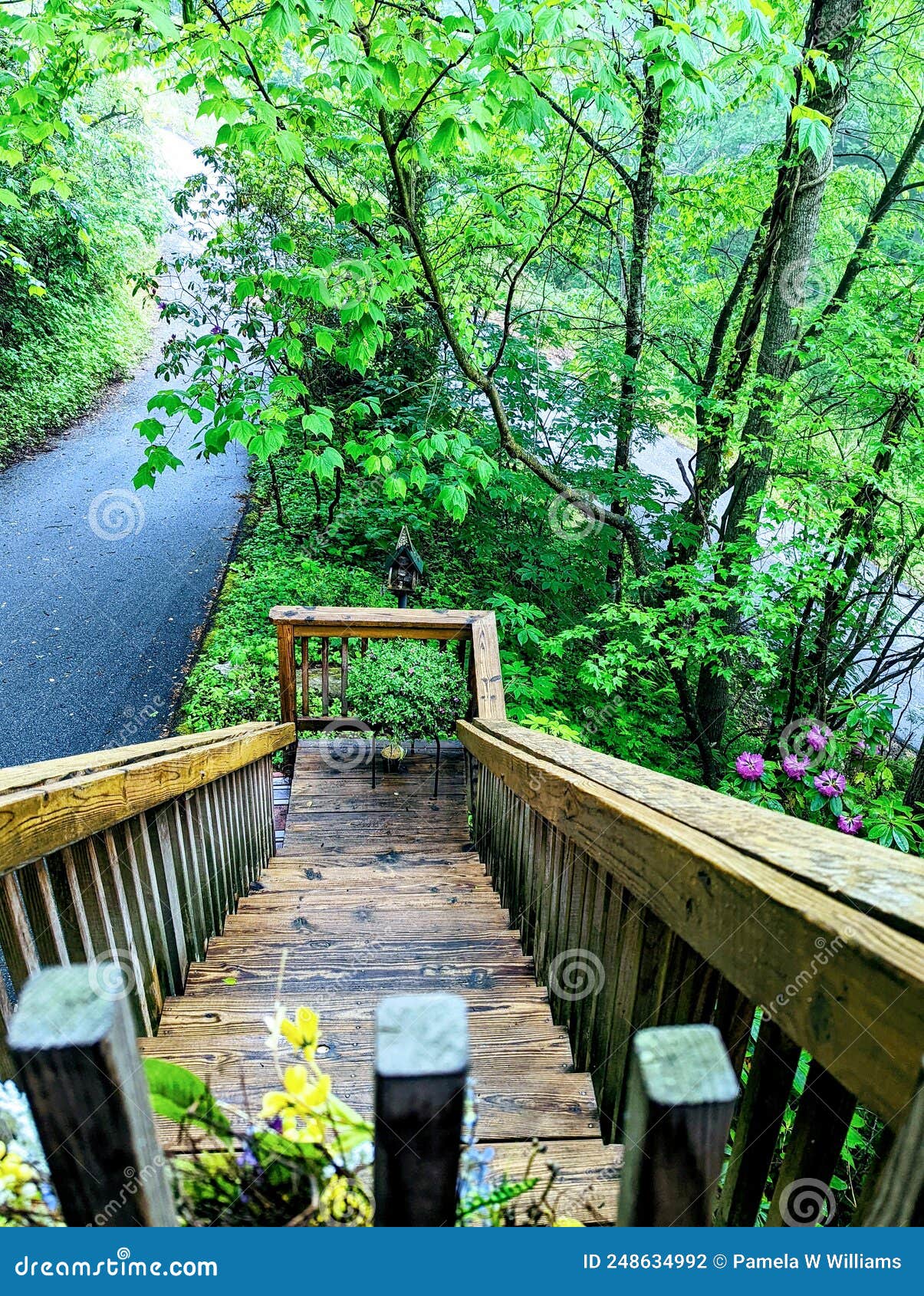 Spring in Maggie Valley, NC Stock Photo - Image of nature, green: 248634992