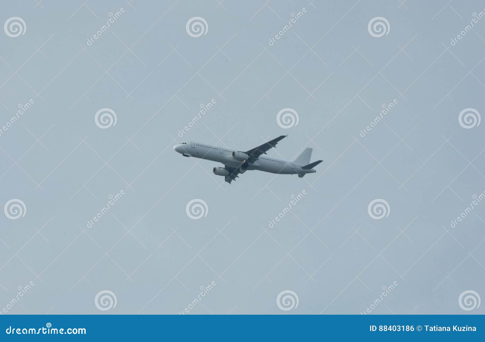 Spring March forest stock photo. Image of journey, spring - 88403186