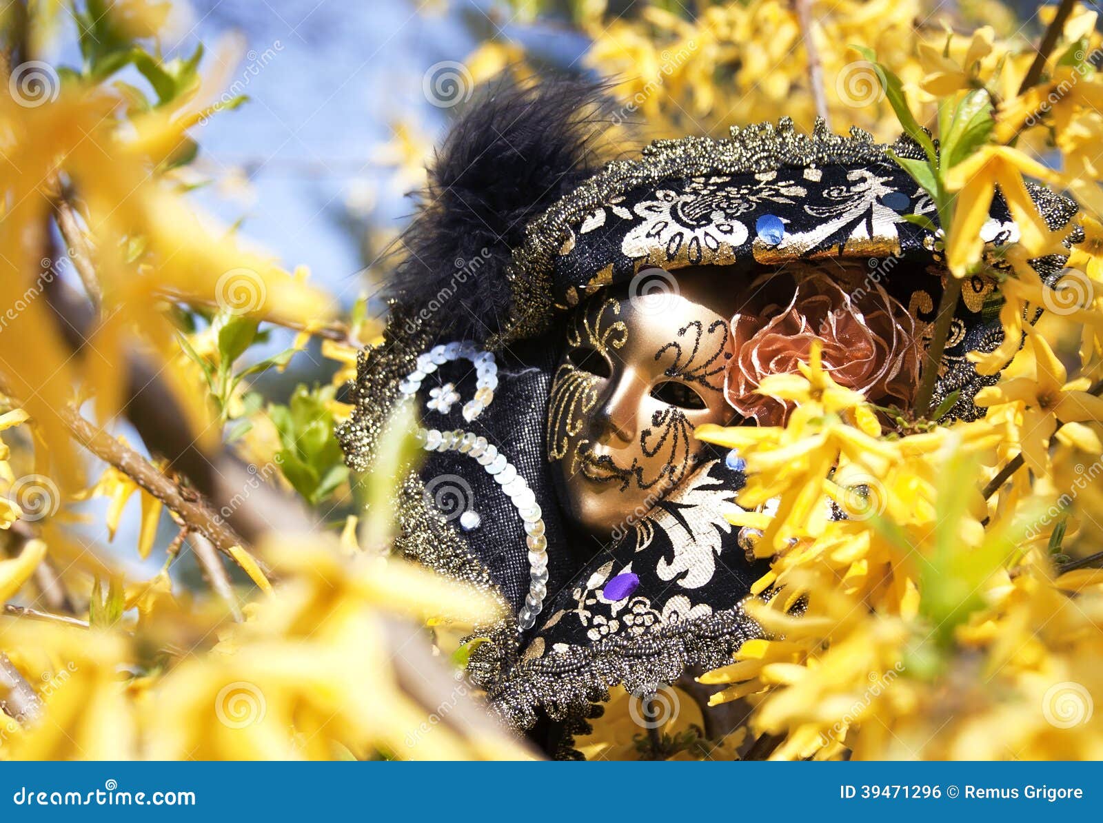 Spring mask - RAW format stock photo. Image of look, resolution - 39471296