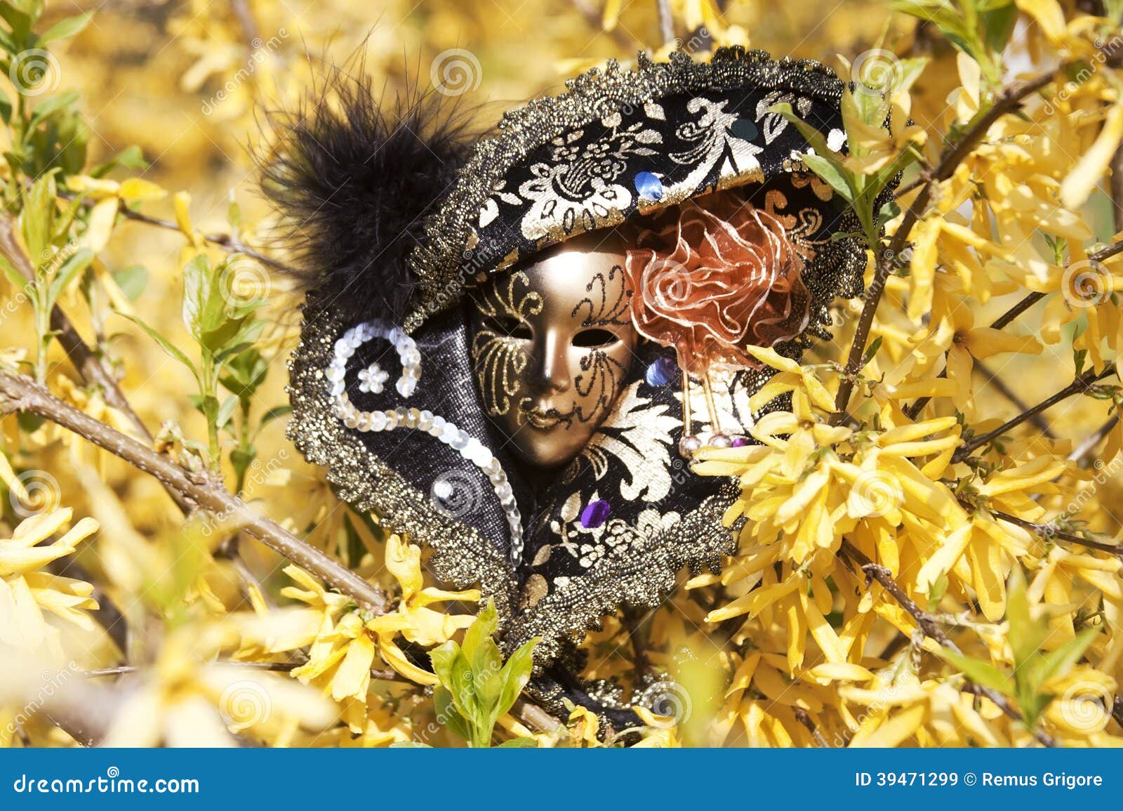 Spring mask - RAW format stock image. Image of bloom - 39471299