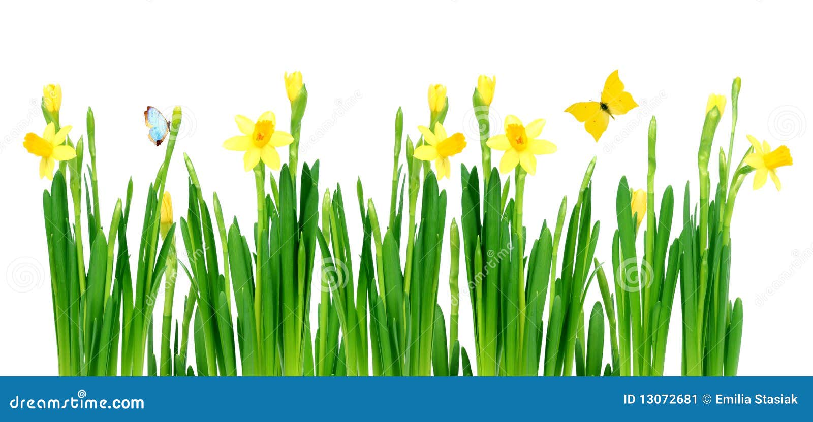 Spring meadow stock image. Image of beautiful, floral - 13072681