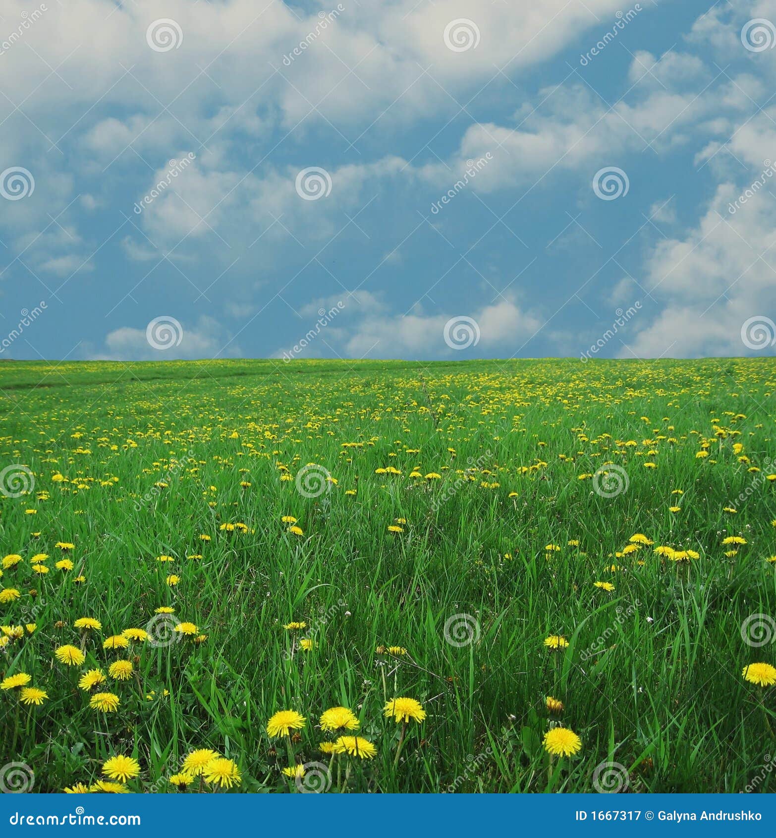 Spring meadow stock image. Image of outside, farmland - 1667317