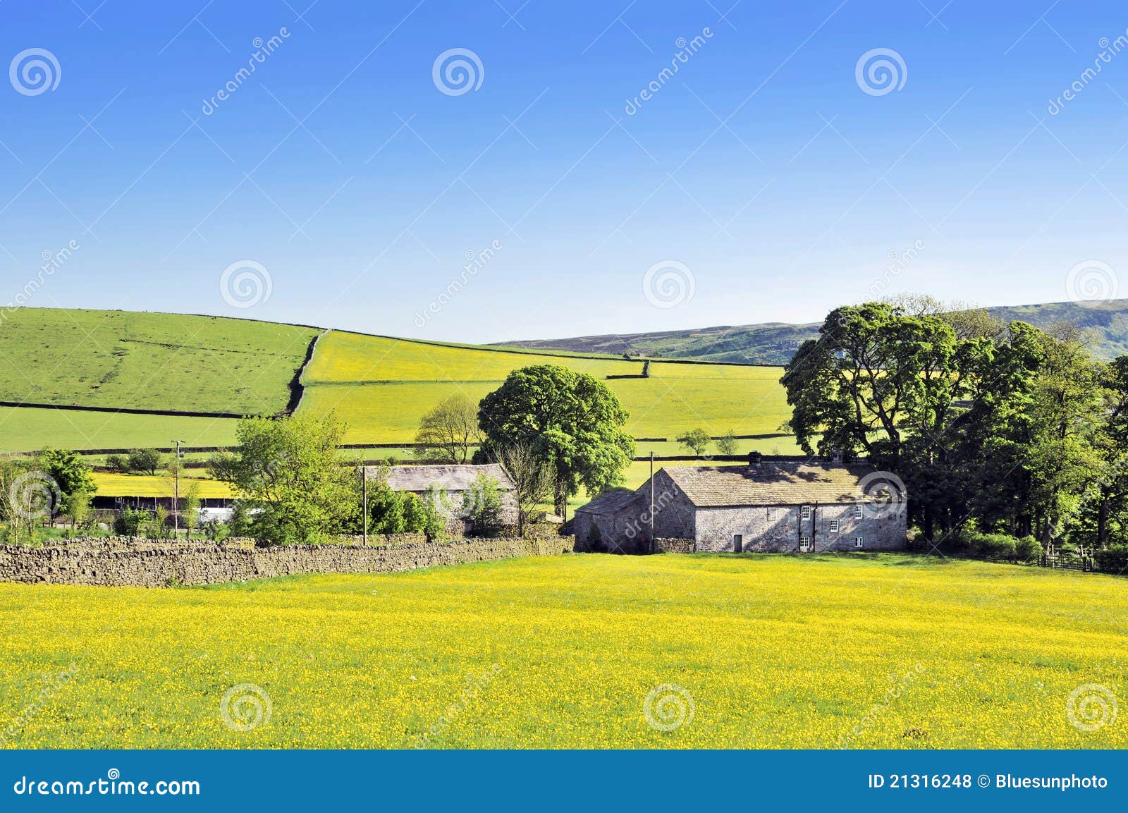 Spring Meadow stock photo. Image of england, landscape - 21316248