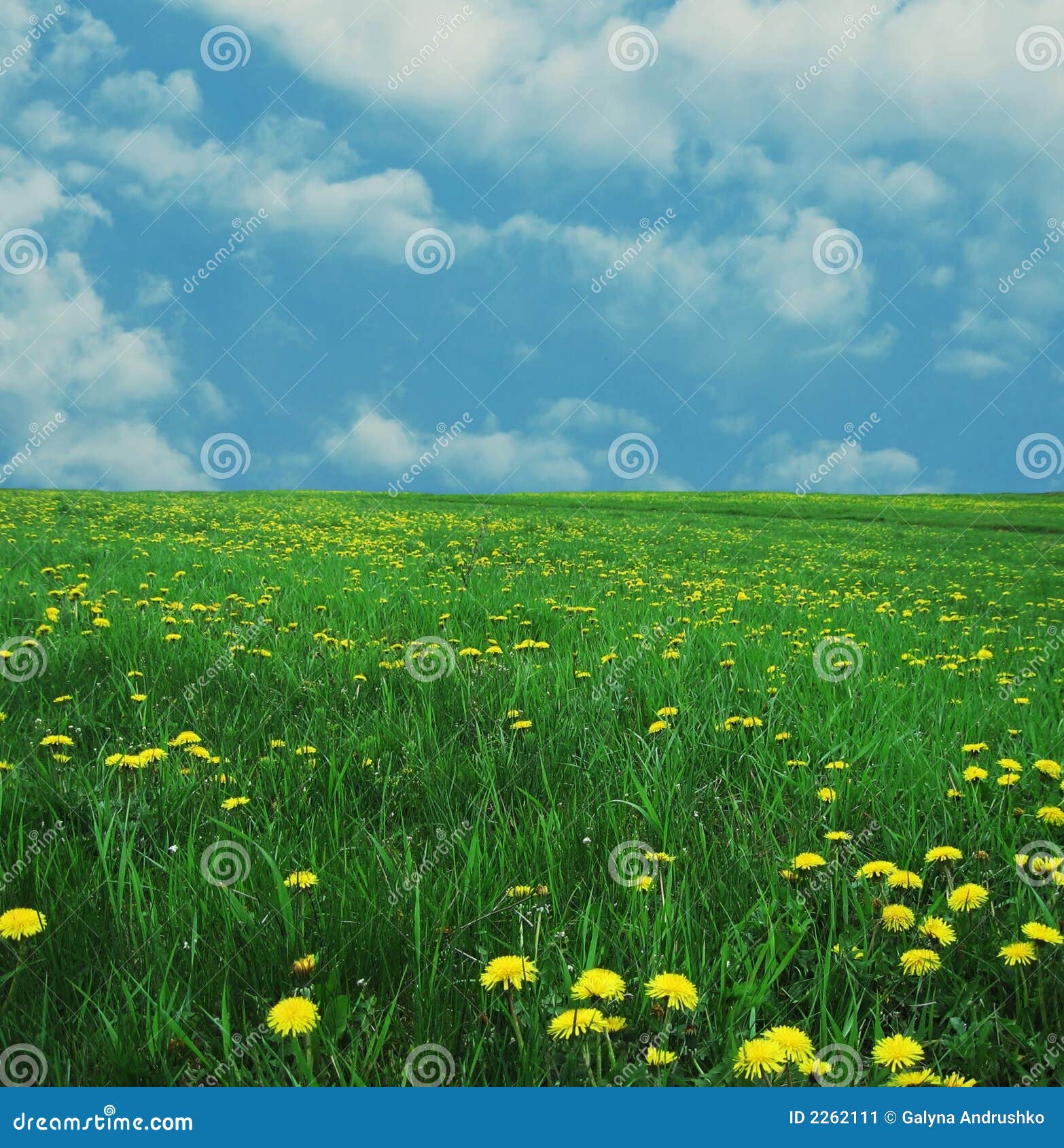 Spring meadow stock image. Image of outdoor, cloud, agriculture - 2262111