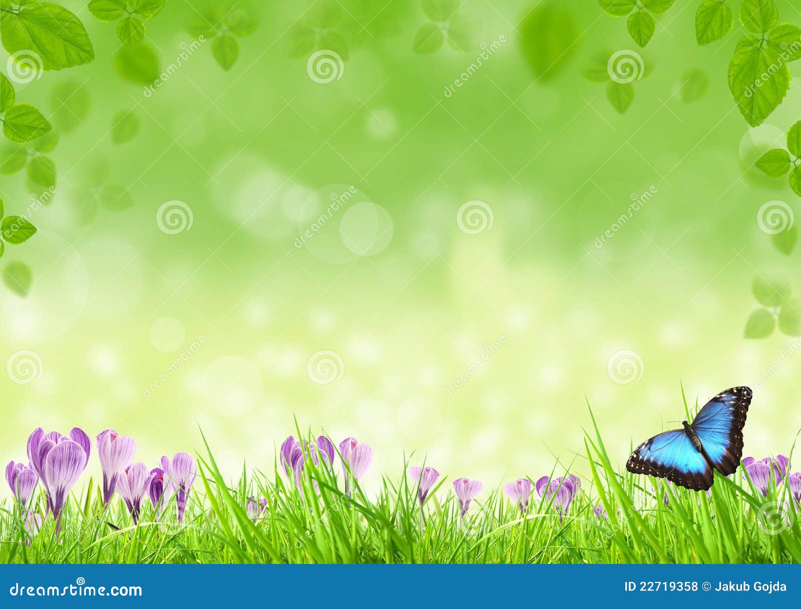 Spring meadow stock photo. Image of bloom, close, beauty - 22719358
