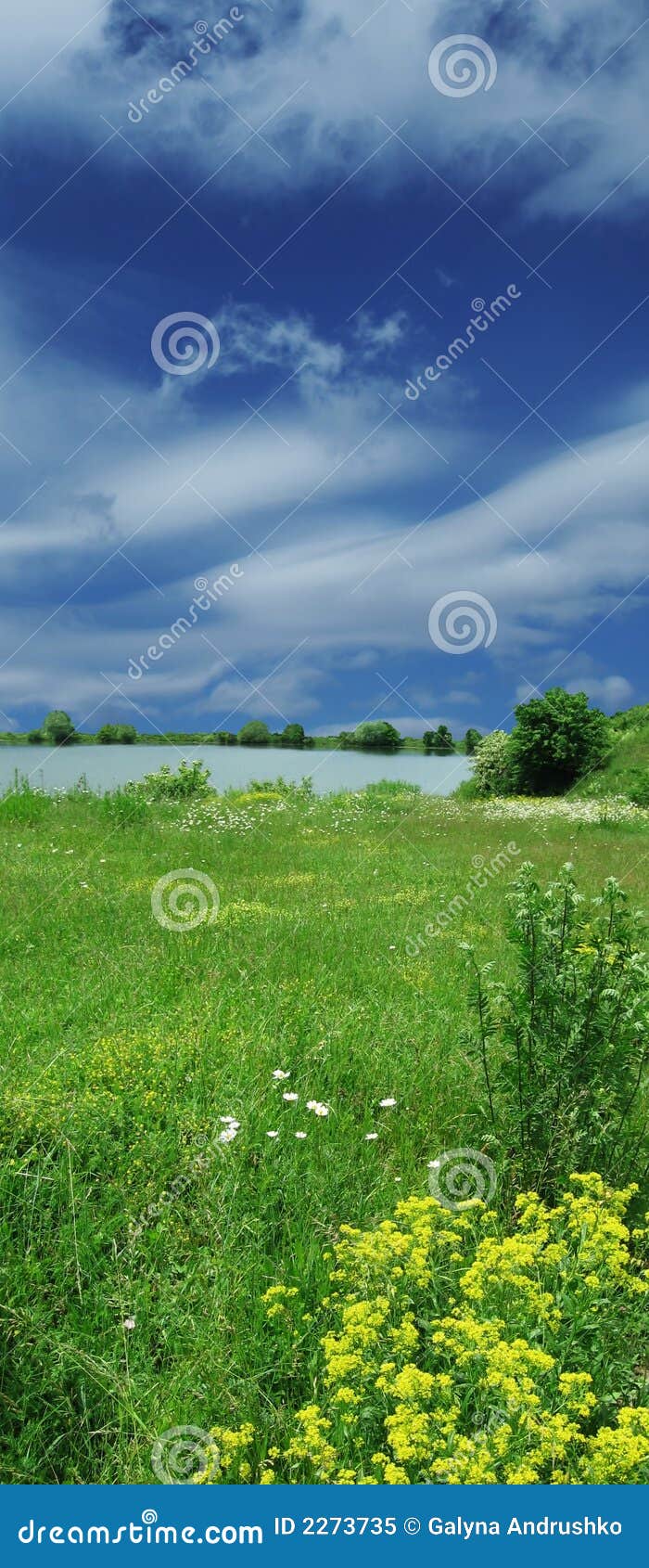 Spring meadow stock image. Image of country, beautiful - 2273735