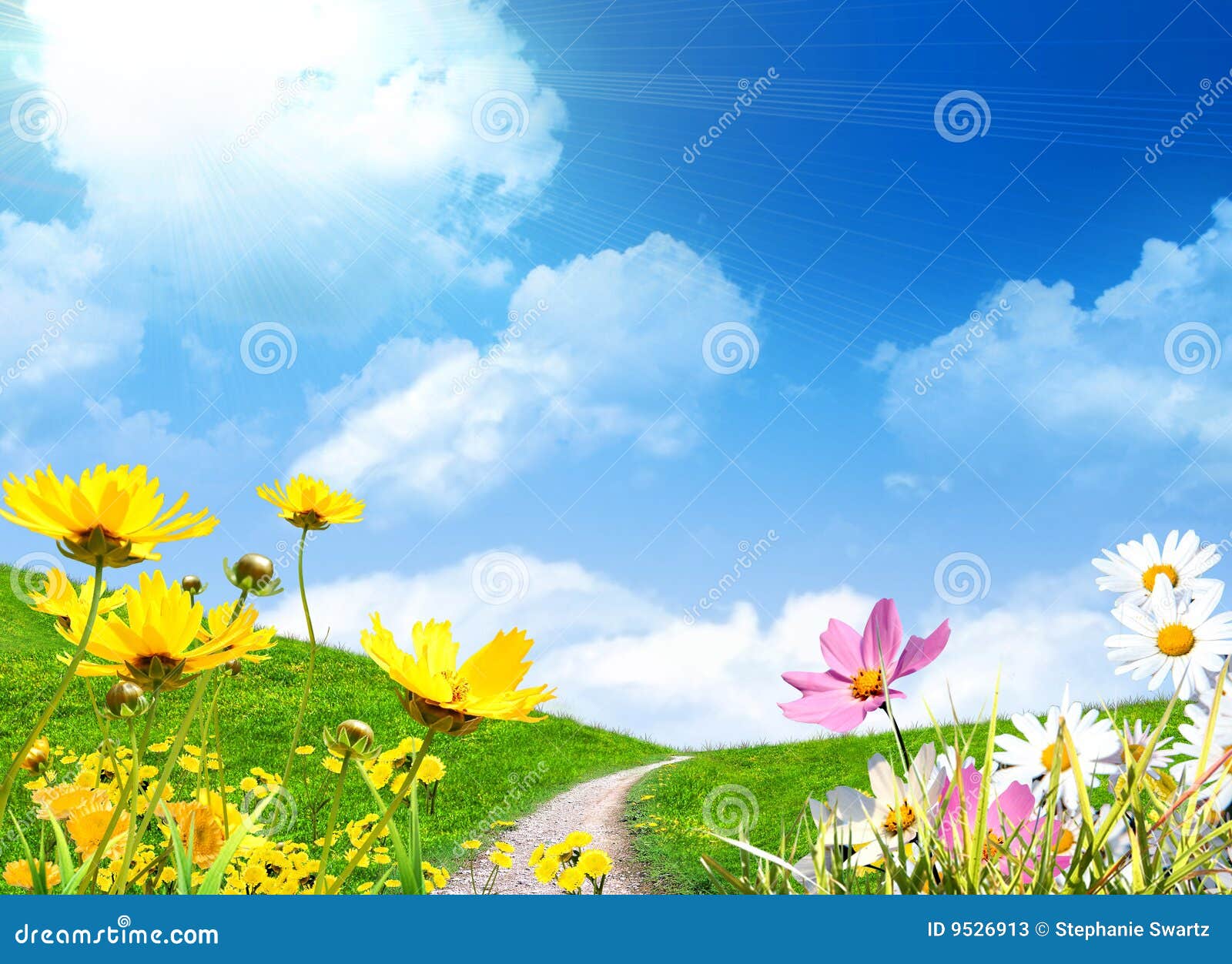 Spring meadow stock illustration. Illustration of natural - 9526913