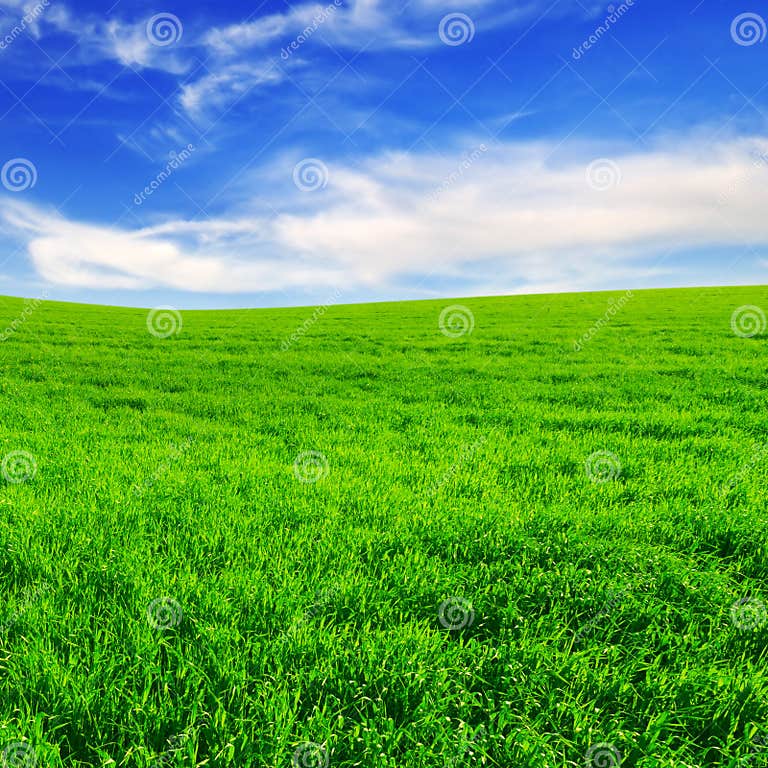 Spring meadow stock image. Image of cloudscape, heavens - 34137859