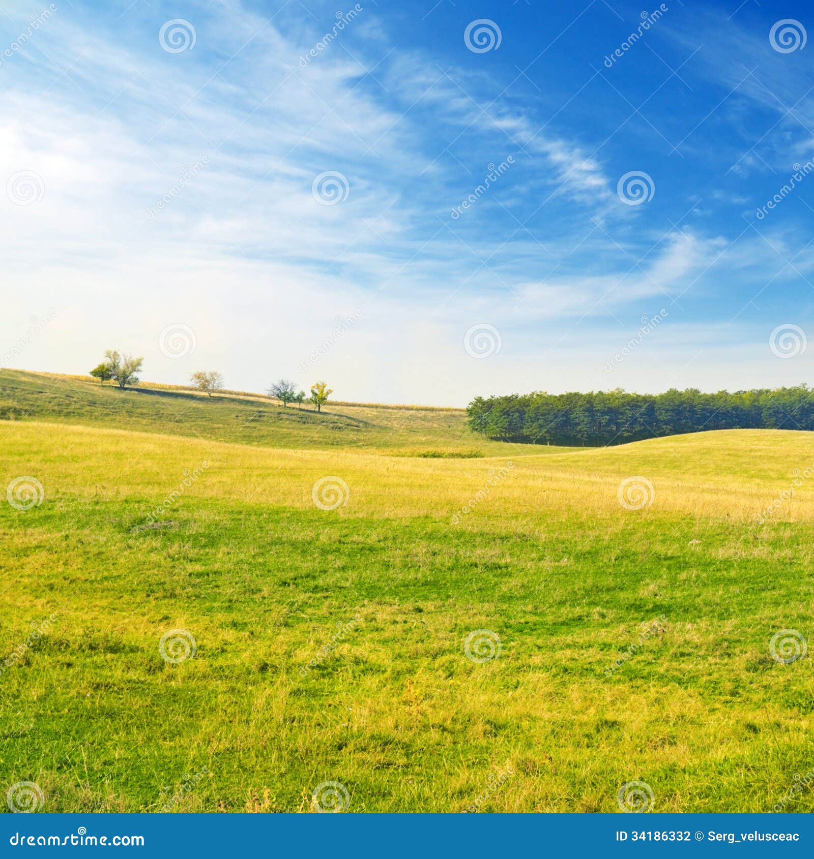 Spring meadow stock photo. Image of landscape, agriculture - 34186332