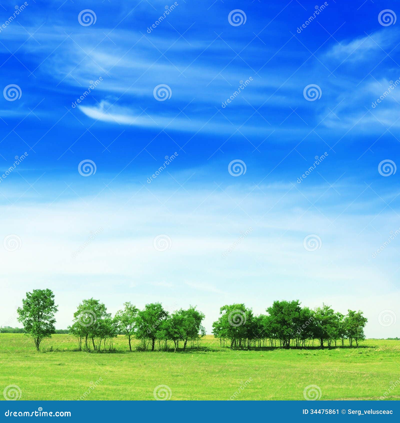 Spring meadow stock image. Image of fall, farming, blue - 34475861