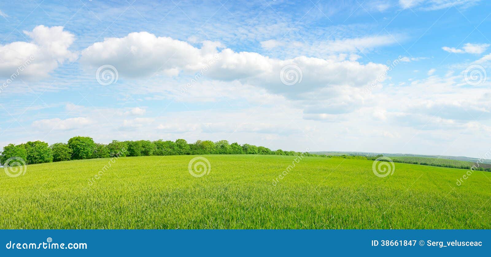 Spring meadow stock image. Image of fields, land, grassland - 38661847