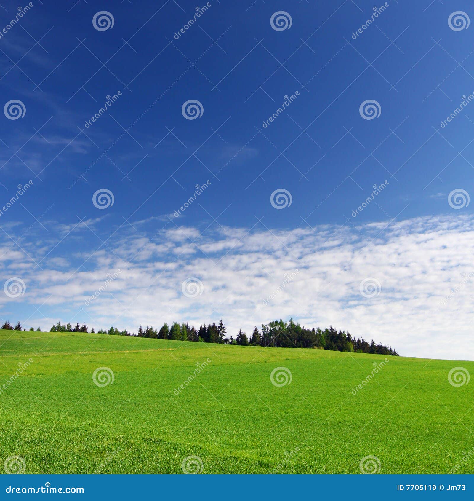 Spring meadow and blue sky stock image. Image of agriculture - 7705119
