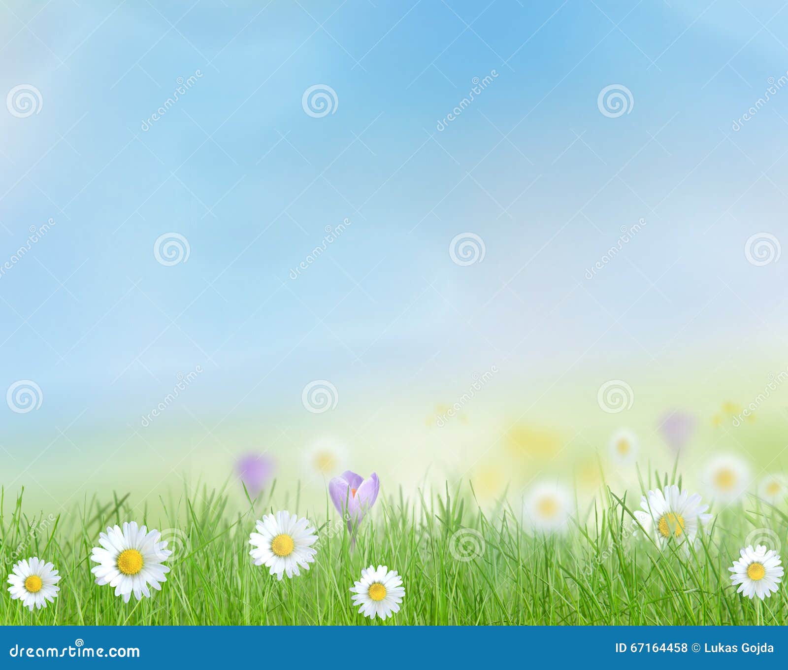 Spring Meadow with Blue Sky. Stock Illustration - Illustration of ...