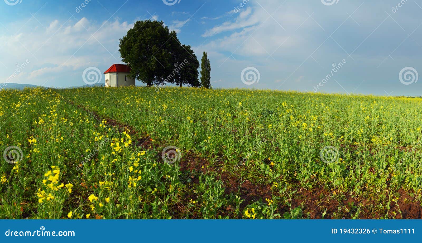 Spring Meadow with Blue Sky and Clouds. Stock Photo - Image of ...