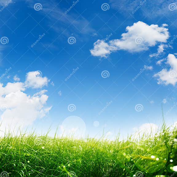 Spring Meadow with Blue Sky Stock Image - Image of meadow, spring ...