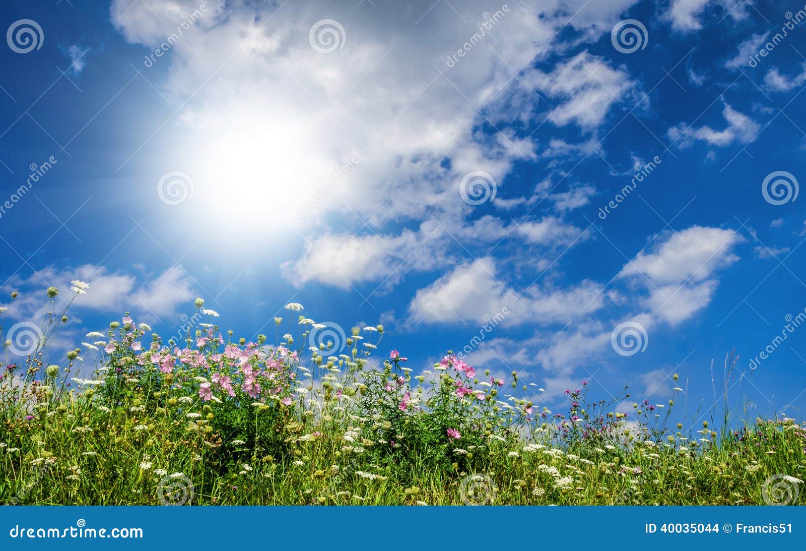 Spring stock photo. Image of flower, nature, natural - 40035044