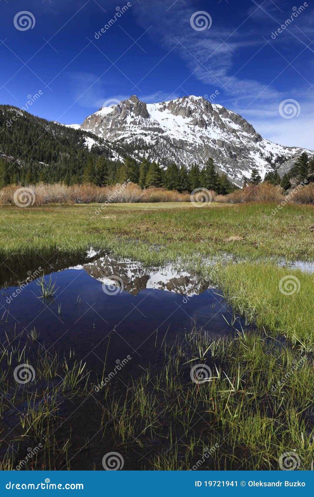 Spring Meadow in California Mountains Stock Image - Image of rugged ...