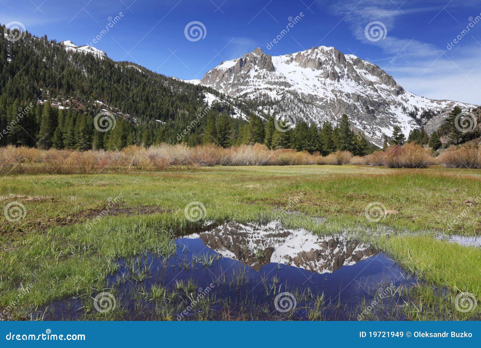 Spring Meadow in California Mountains Stock Image - Image of snow ...
