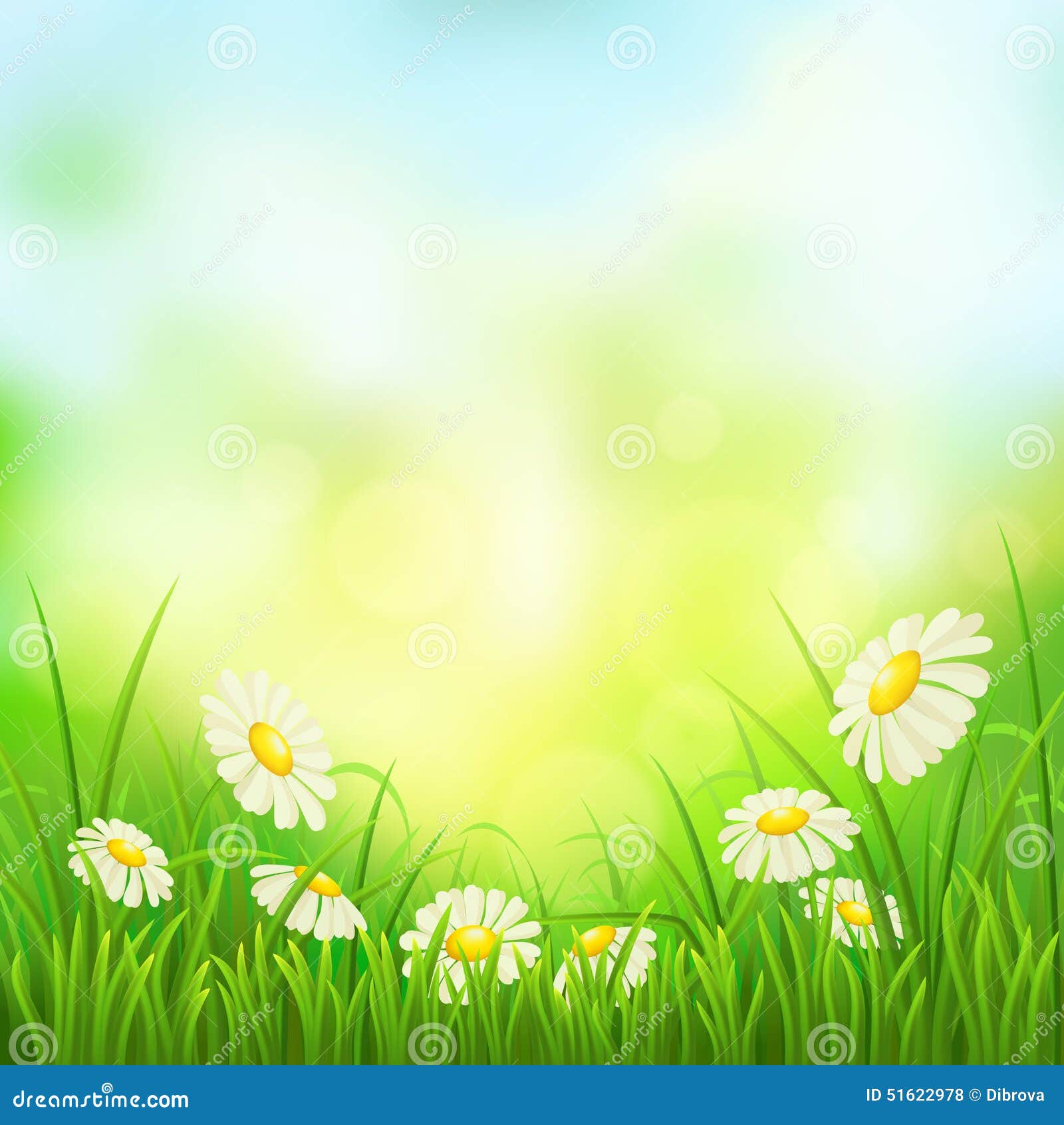 Spring meadow with daisies stock vector. Illustration of lush - 51622978