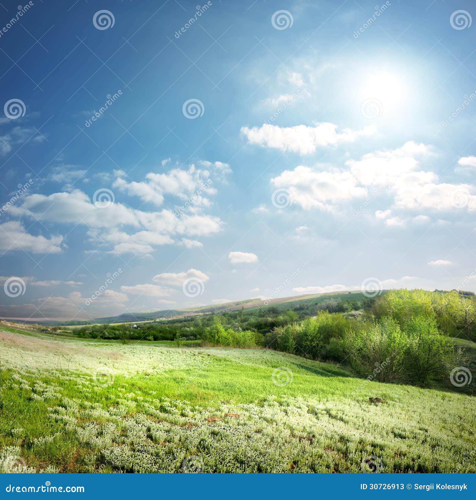Spring meadow stock image. Image of lawn, hill, scene - 30726913