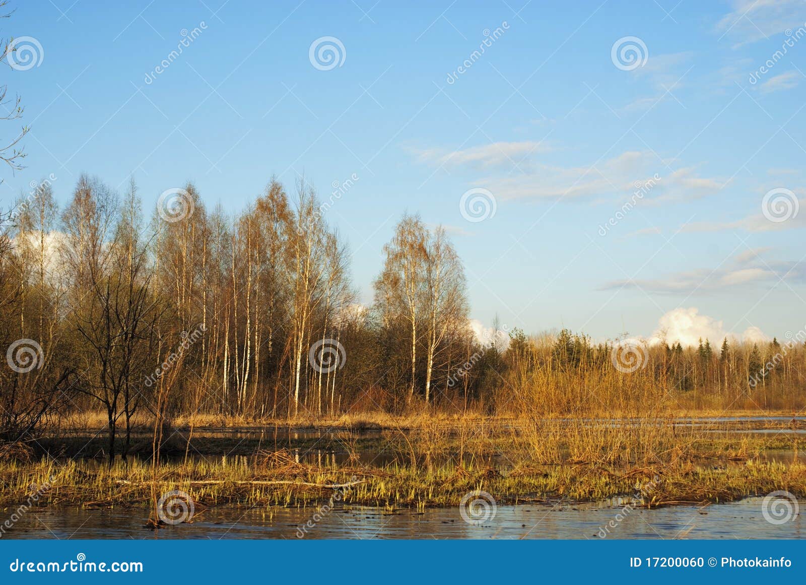 Spring Meadow Near the River Stock Photo - Image of weather, grass ...