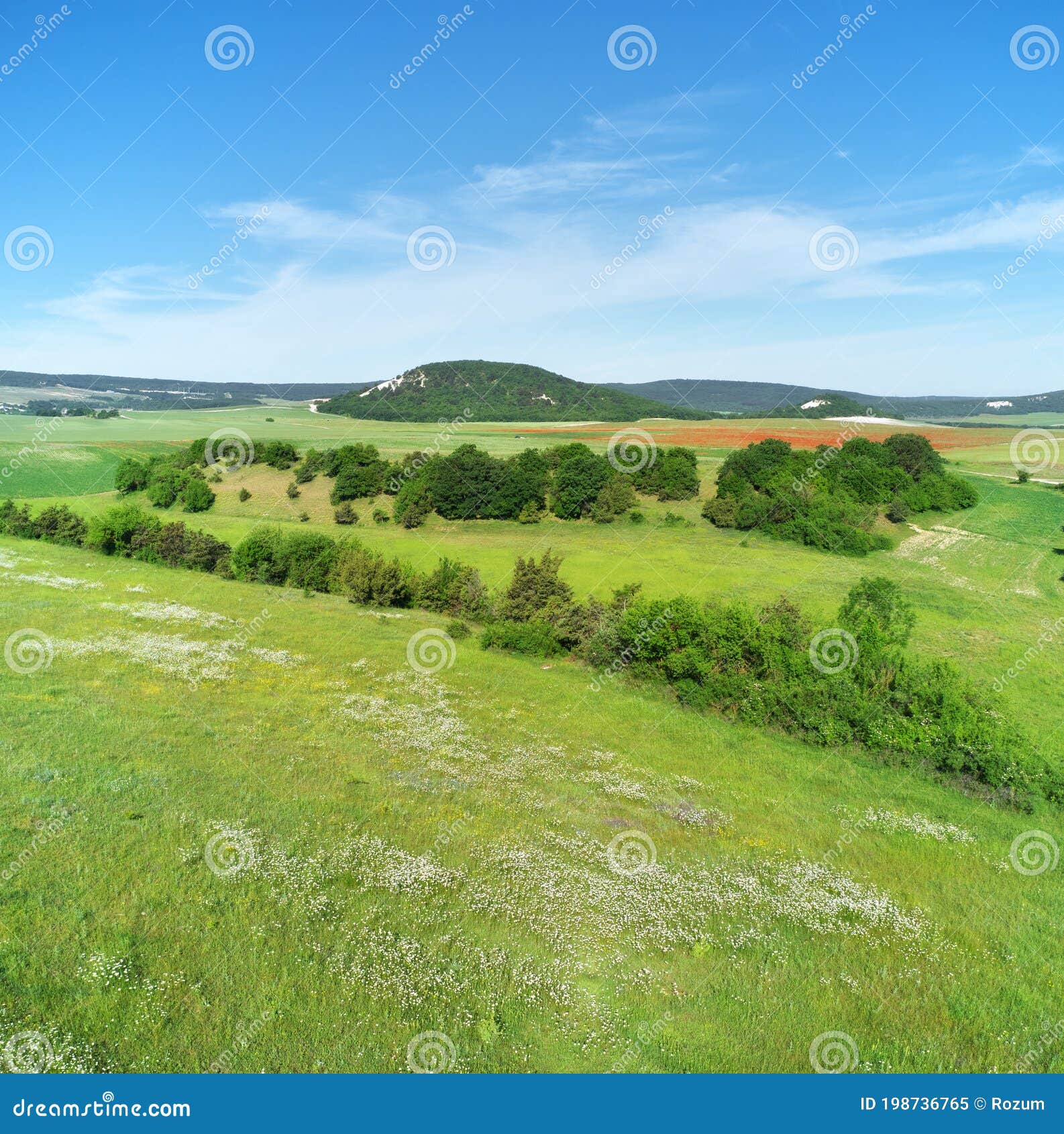 Spring meadow panorama stock image. Image of colorful - 198736765