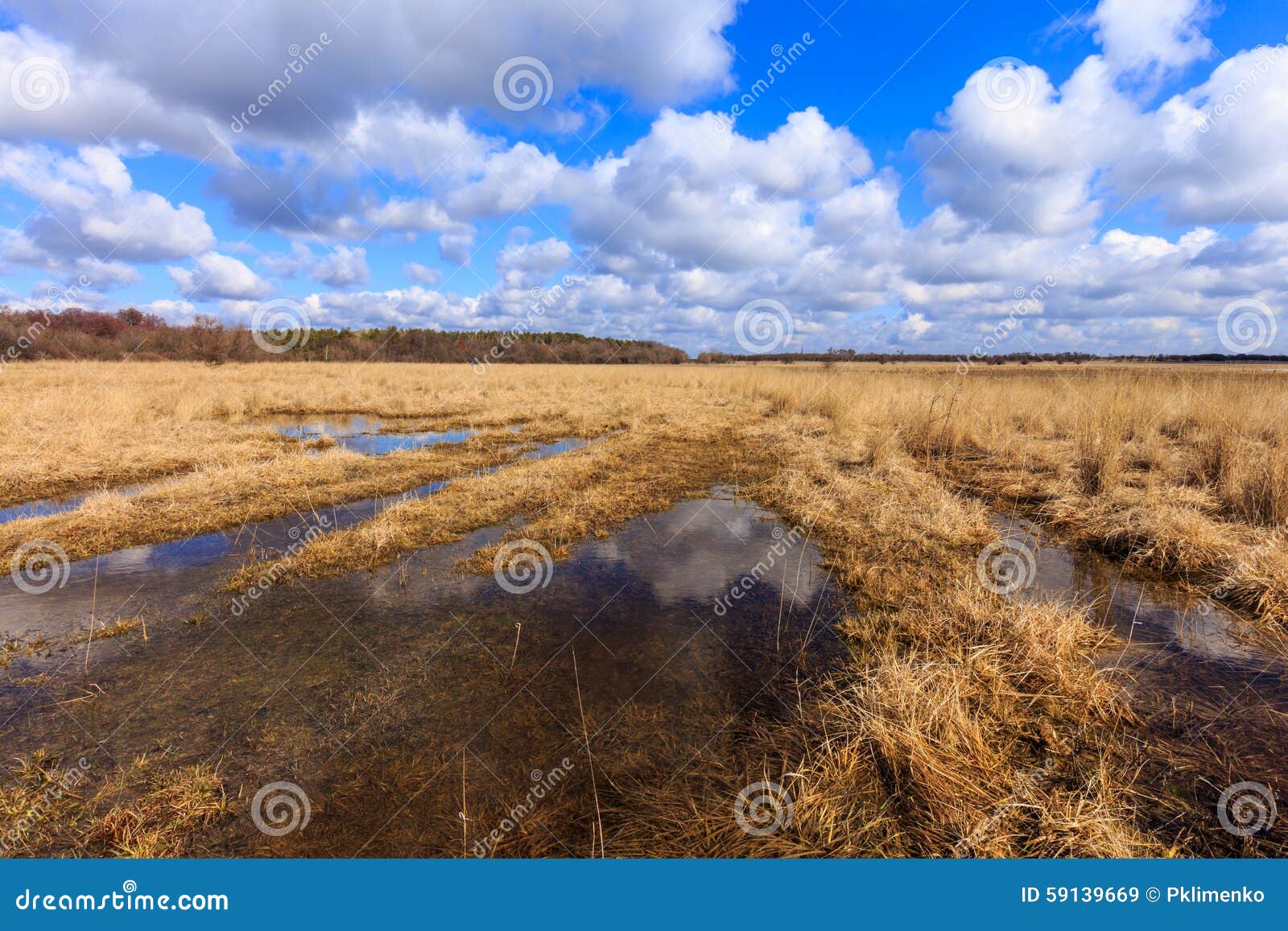 Spring meadow with puddles stock image. Image of spring - 59139669