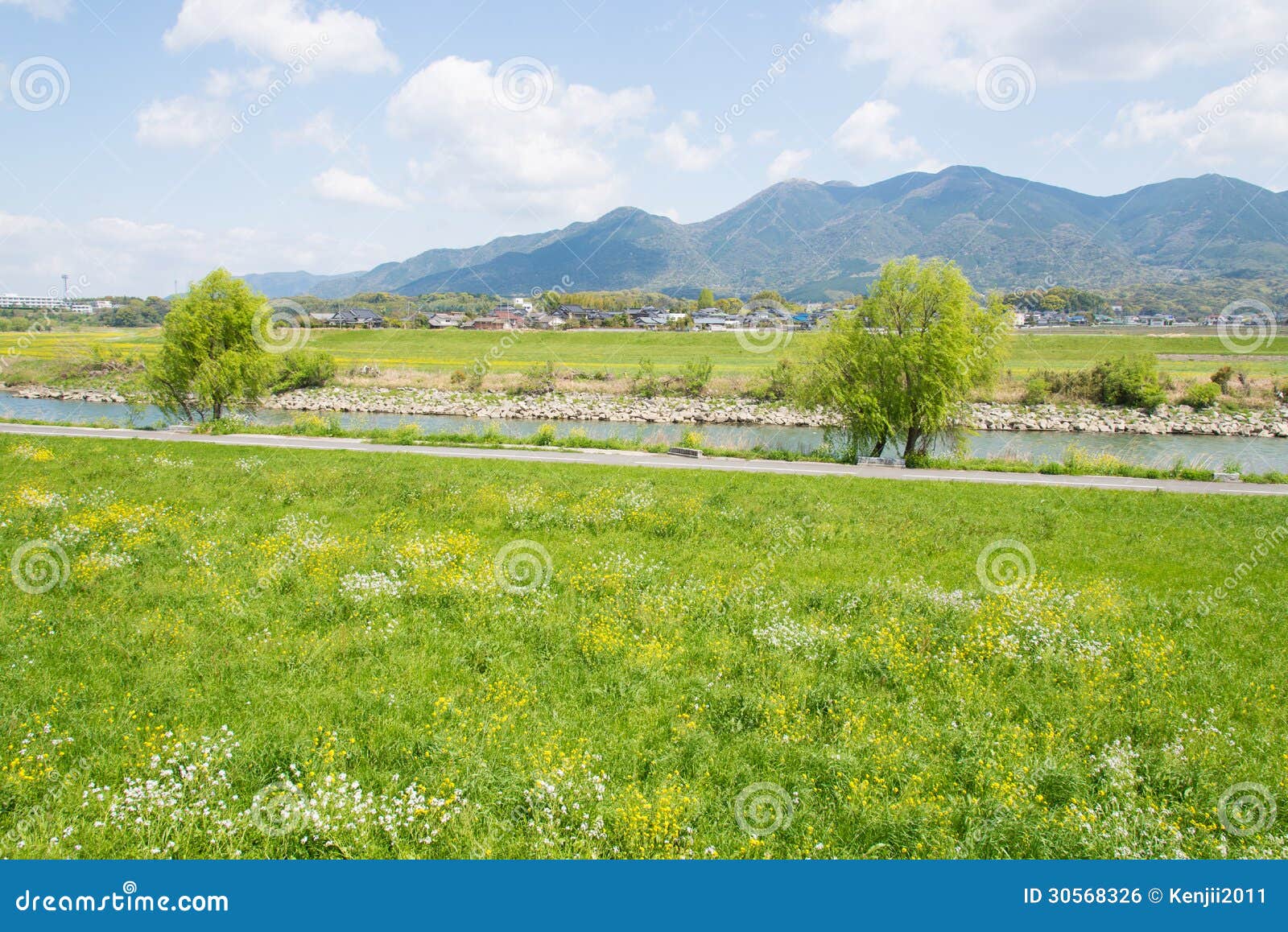 Spring meadow and river stock photo. Image of ecology - 30568326