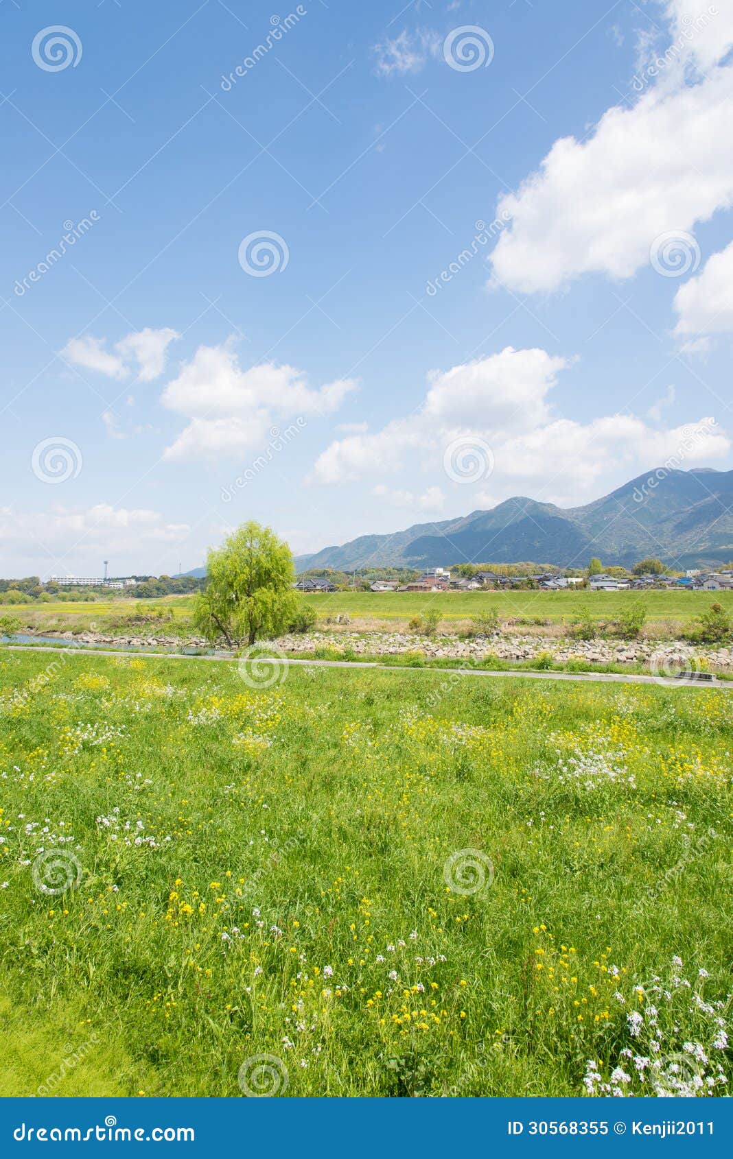 Spring meadow and river stock image. Image of outdoor - 30568355