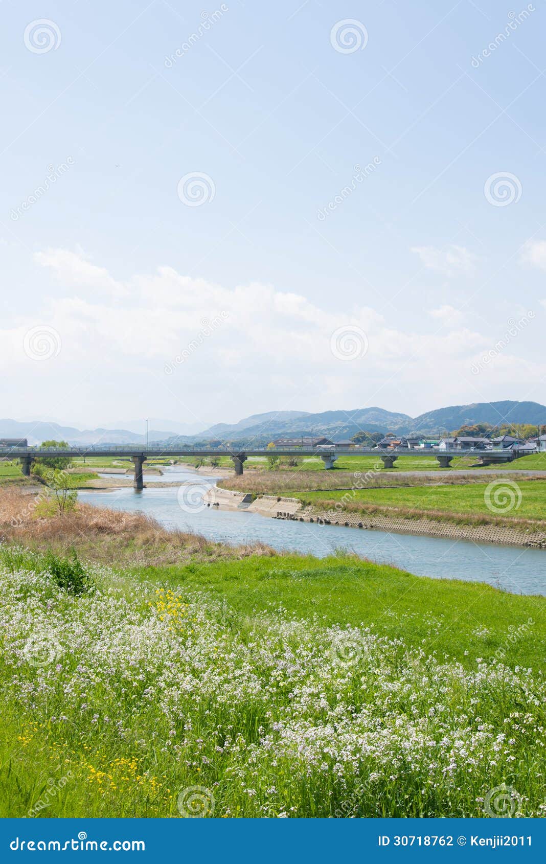 Spring meadow and river stock photo. Image of sunny, beautiful - 30718762