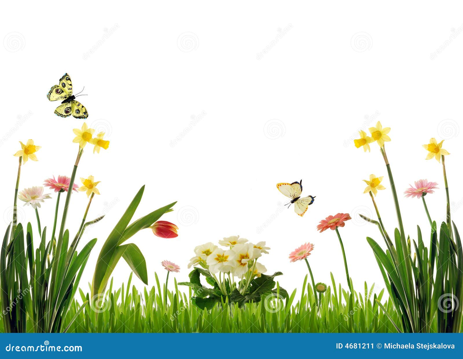 Spring meadow scenery stock image. Image of gerber, gardens - 4681211