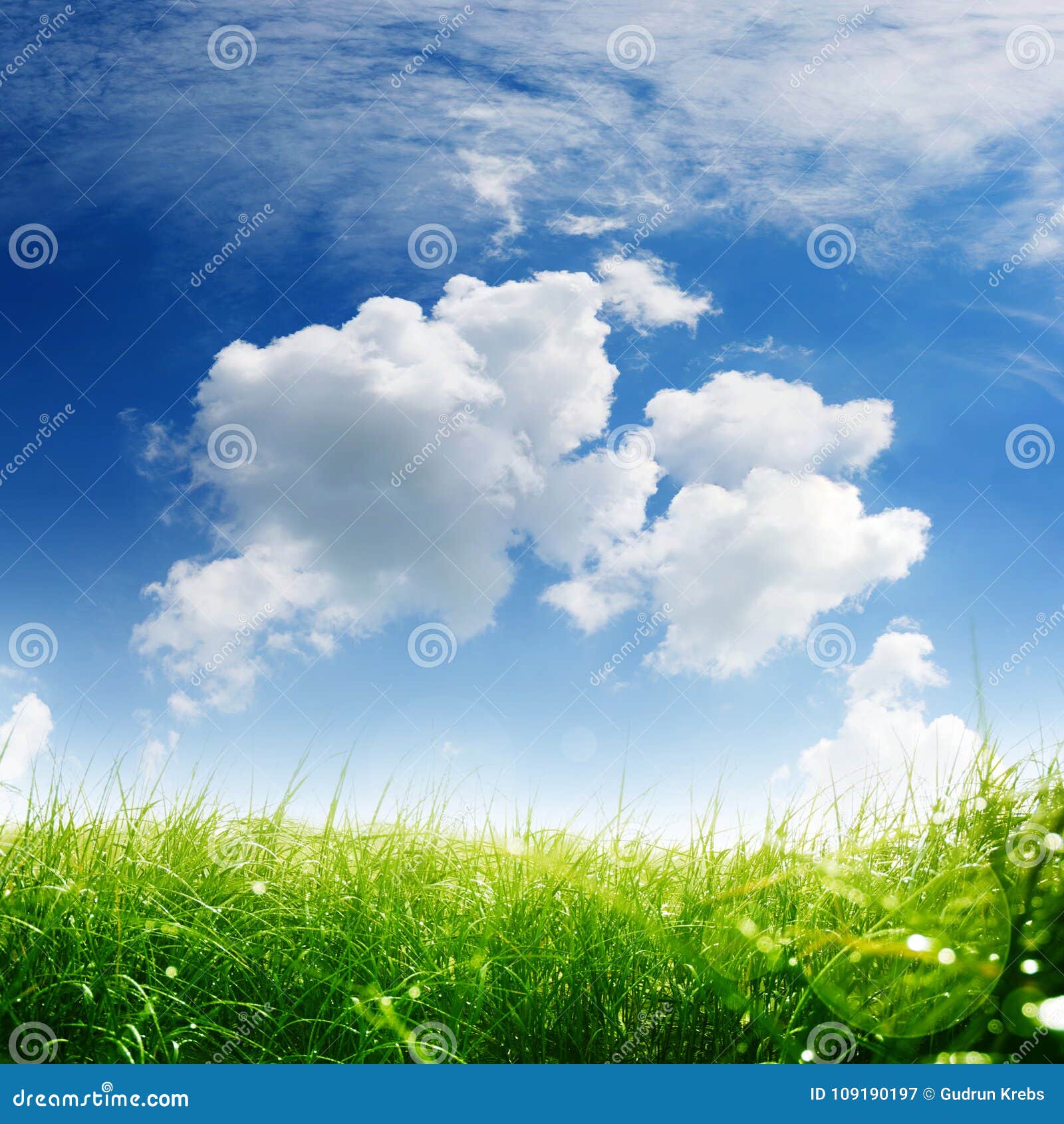 Spring Meadow with Sky and Clouds Stock Image - Image of light, meadow ...