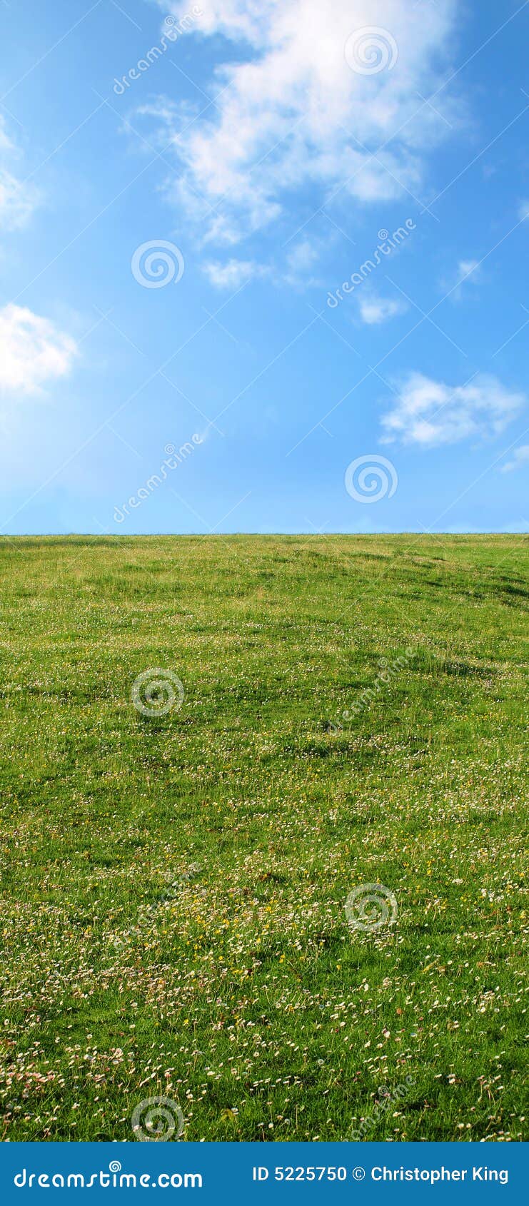 Spring Meadow and Sunny Clear Sky Stock Photo - Image of outdoor, plant ...