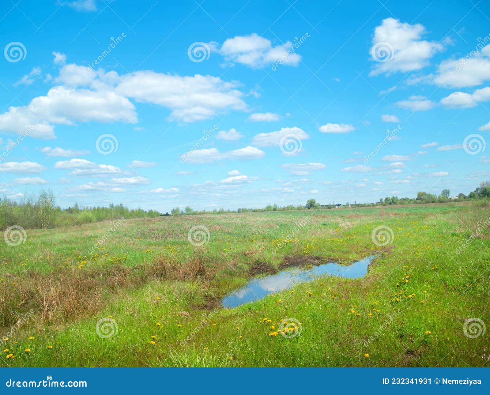 Spring meadow in Sunny day stock image. Image of environment - 232341931
