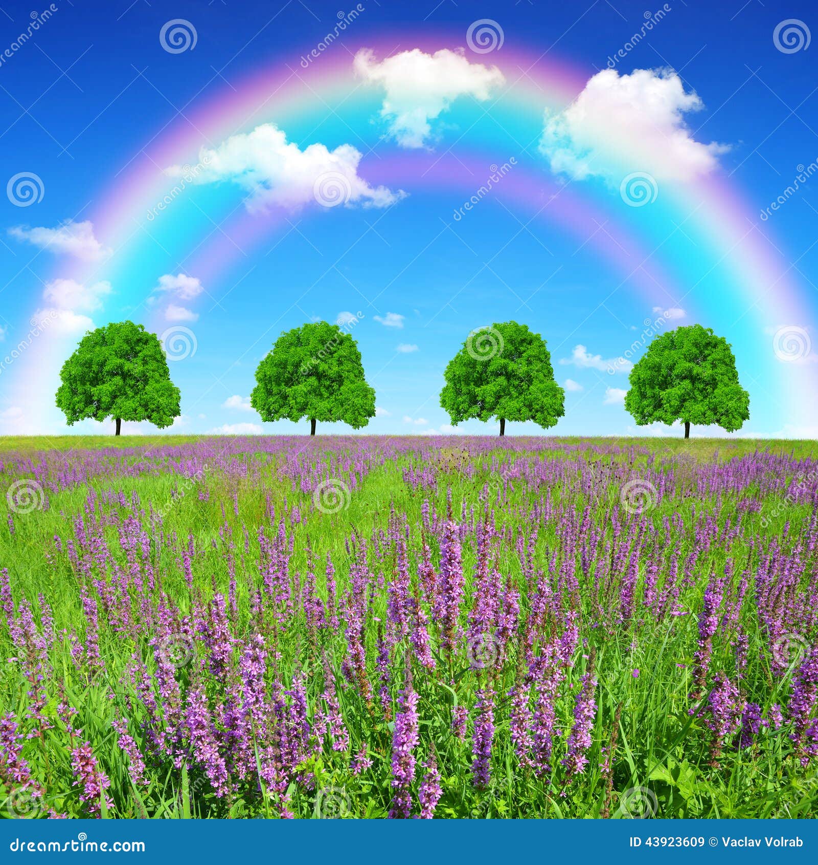 Spring meadow stock image. Image of clear, lonely, rural - 43923609