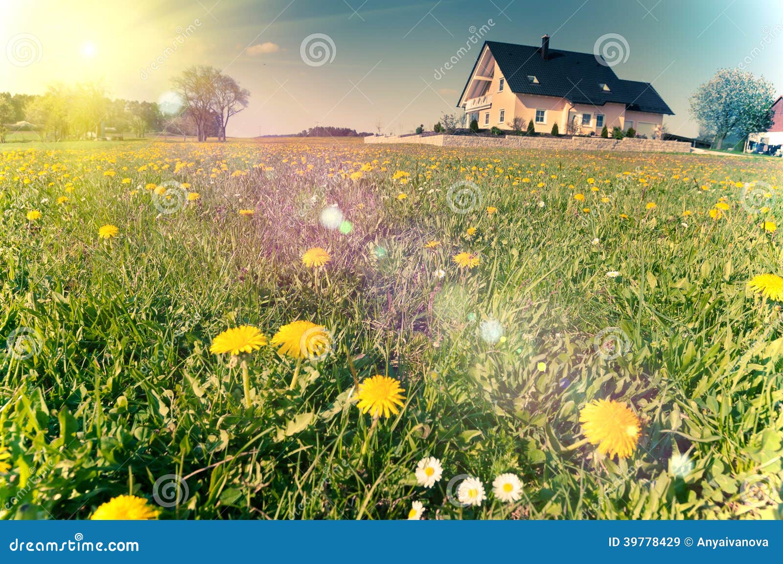 Spring Meadows Around a Rural House Stock Image - Image of flower ...