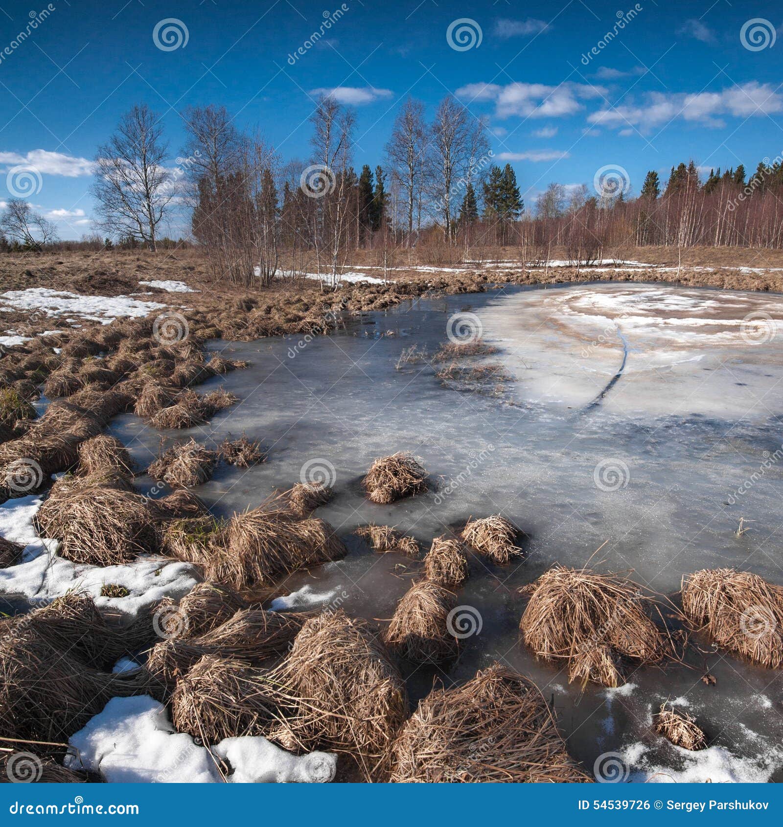 Spring Melt the Ice on the Lake Stock Photo - Image of cold, flowers ...