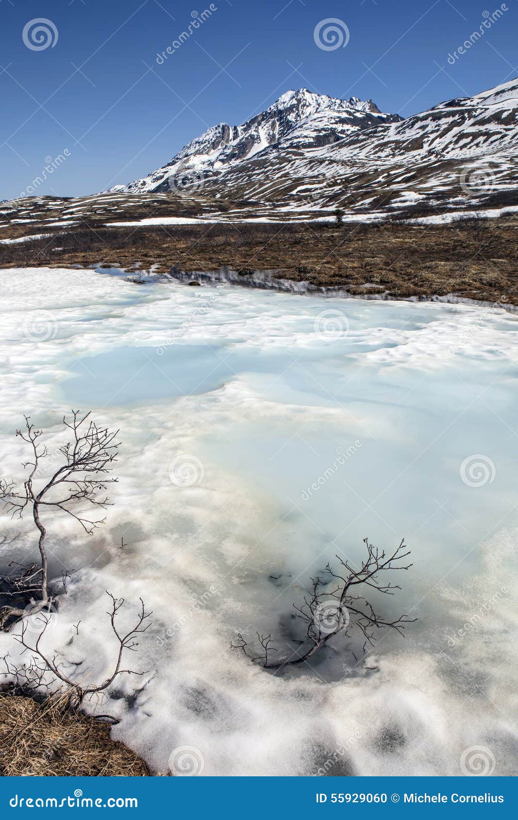 Spring Melt in the Yukon stock photo. Image of mountains - 55929060