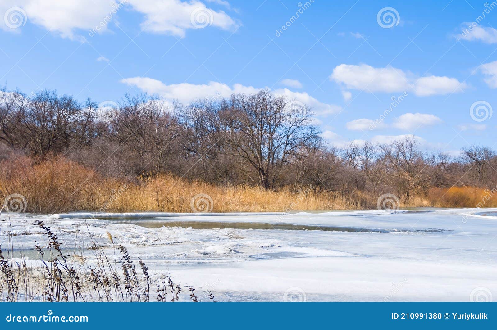 Spring Melting Frozen River Stock Photo - Image of cover, forest: 210991380