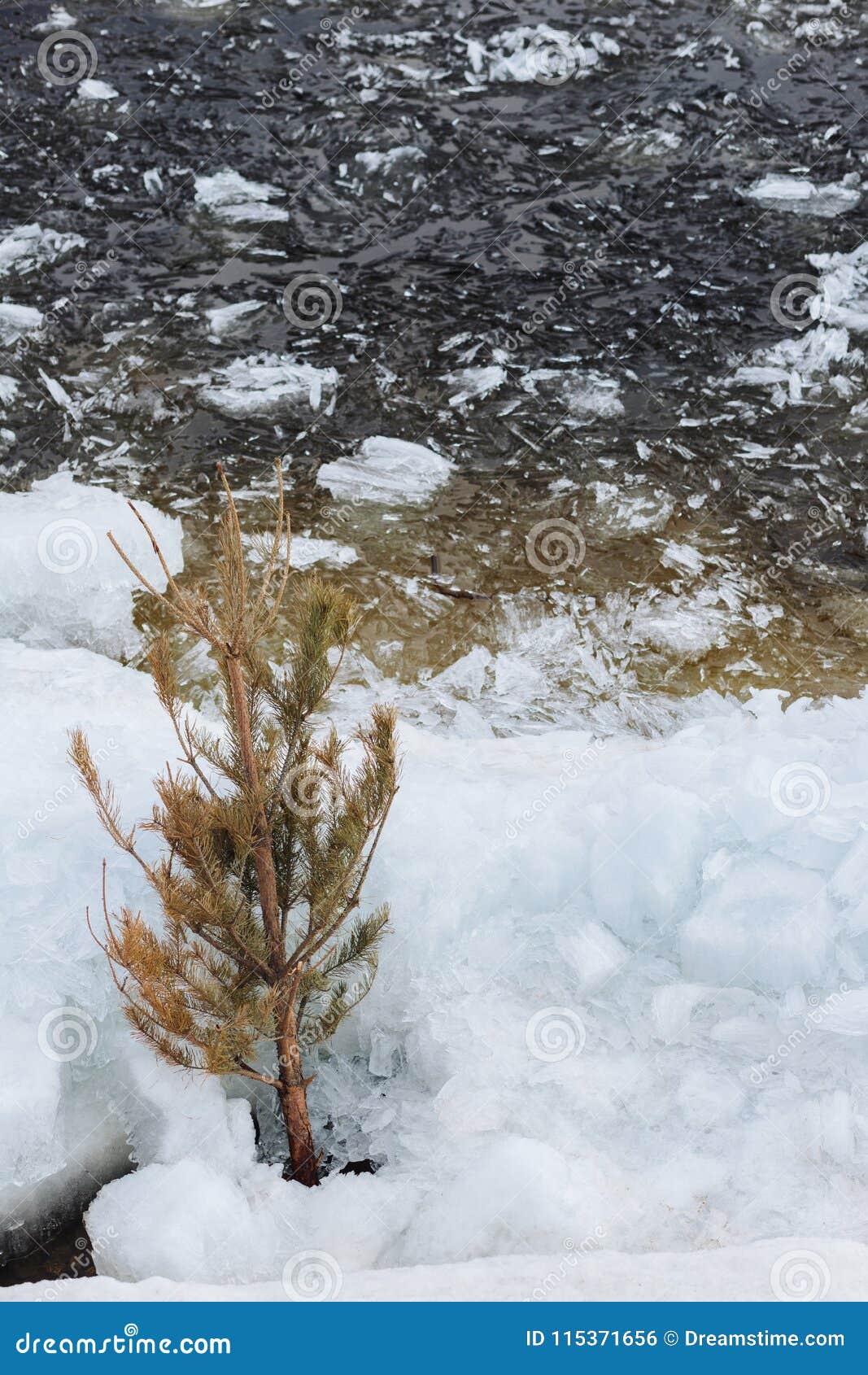 Spring Melting of Ice, Springtime Thaw. Stock Photo - Image of patch ...