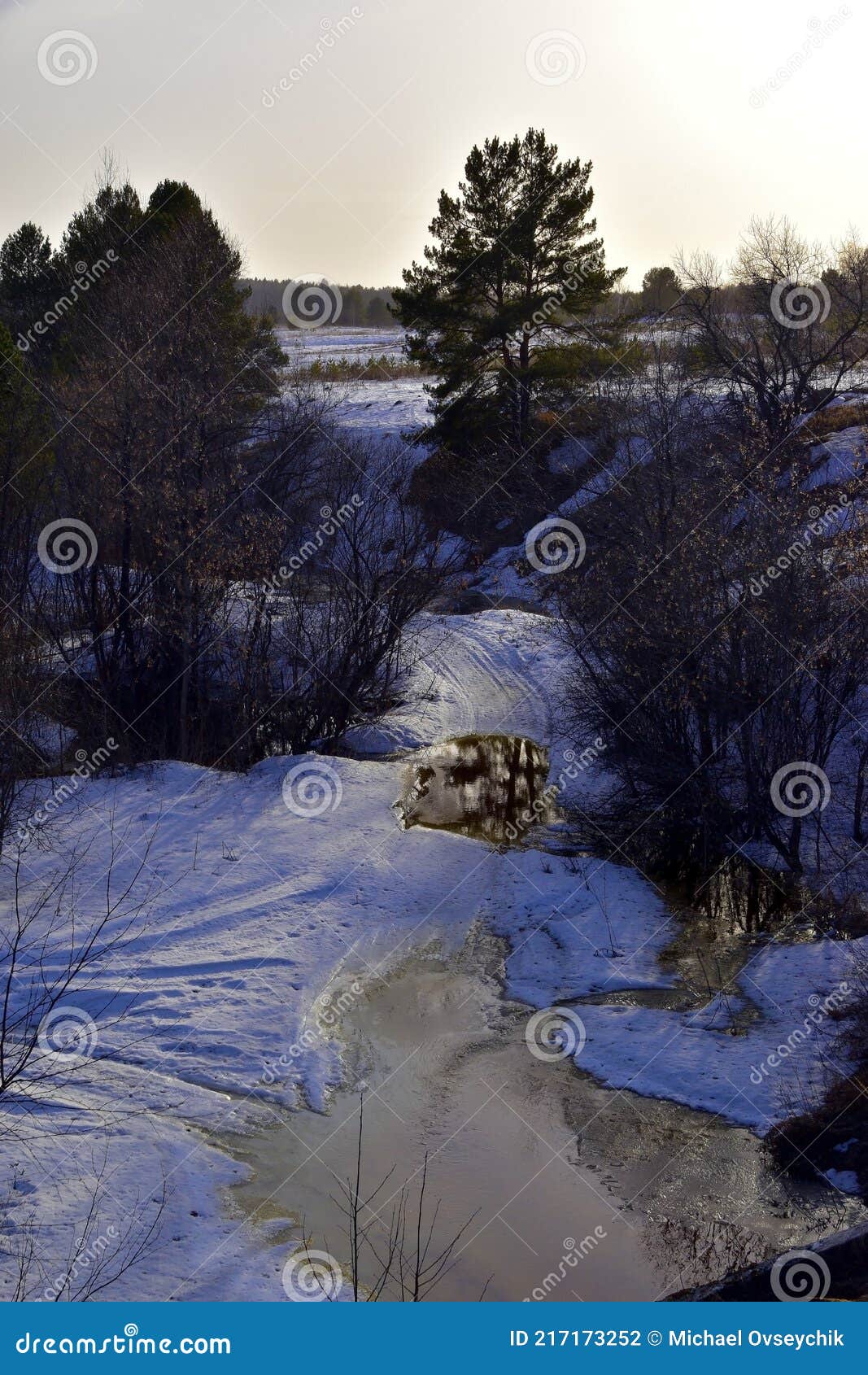 Spring melting snow stock photo. Image of early, abstract - 217173252