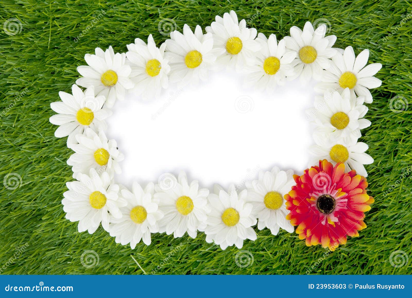 Spring message stock image. Image of petal, green, copy - 23953603