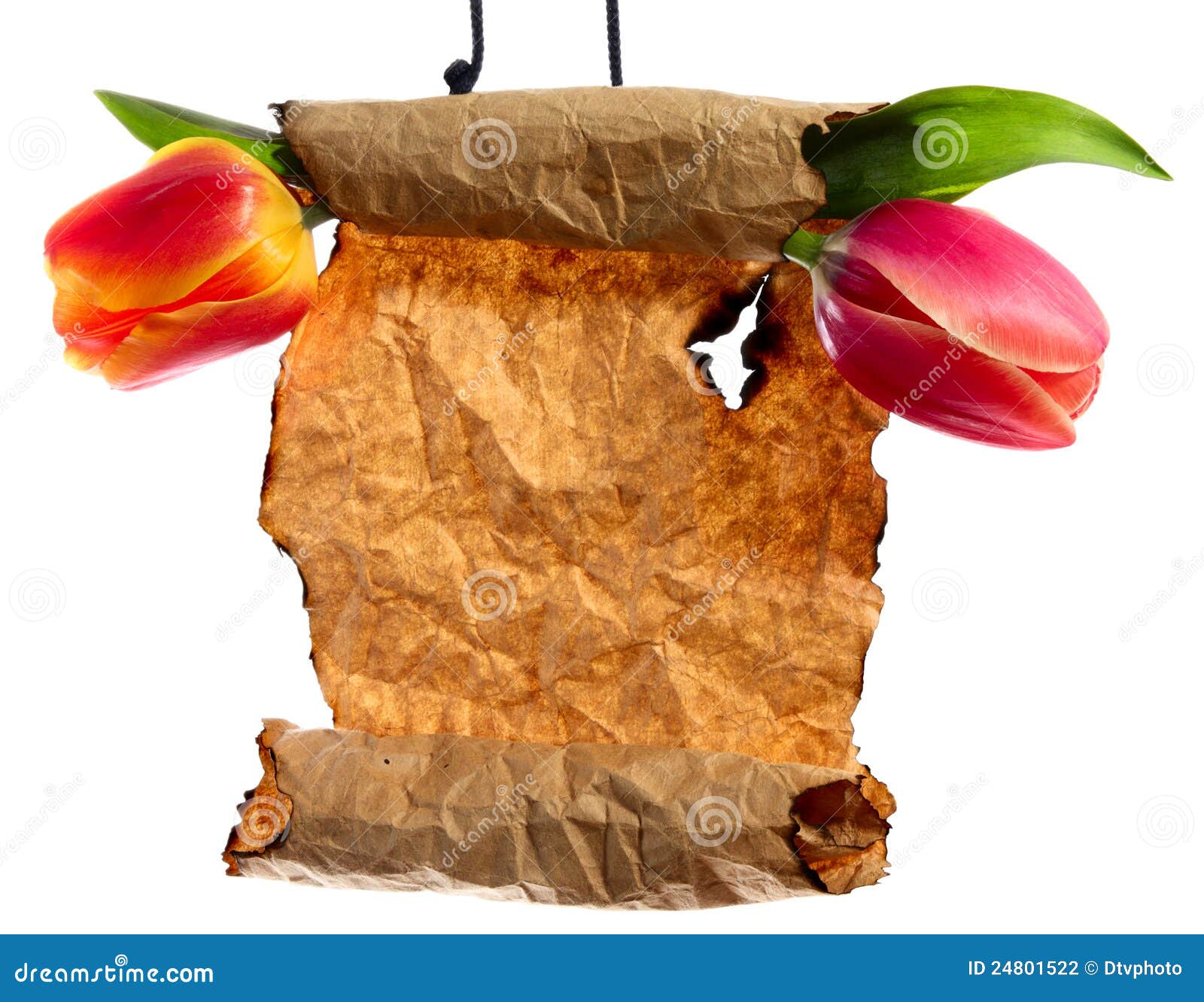 Spring message stock photo. Image of decoration, document - 24801522