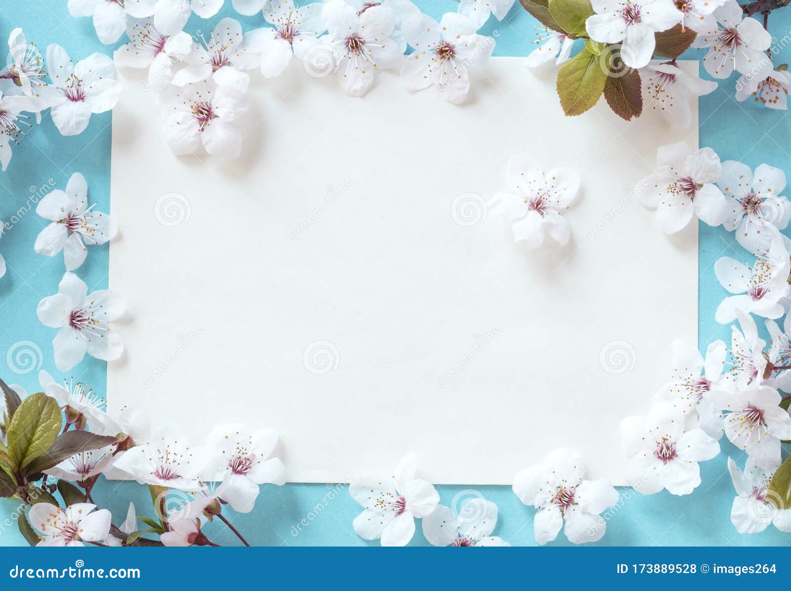 Spring message stock photo. Image of blossom, cherry - 173889528